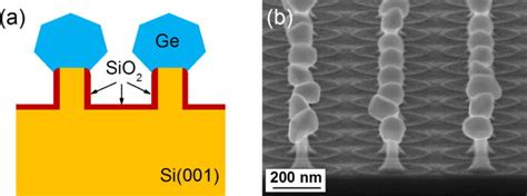 Compliant Substrate Versus Plastic Relaxation Effects In Ge Nanoheteroepitaxy On Free Standing