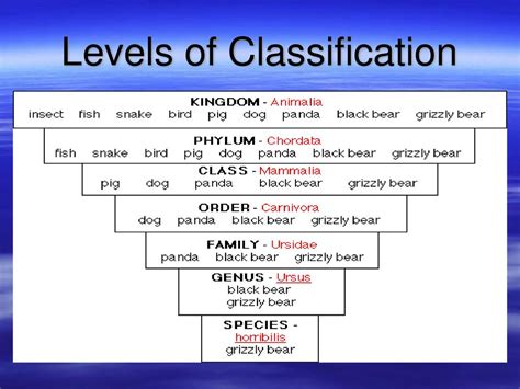 Classification Ppt Download