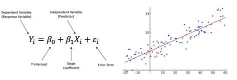 The 8 Basic Statistics Concepts For Data Science KDnuggets