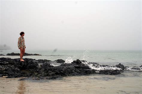 Florence Ramel Troubadour Des Temps Modernes Ou Poète à Vélo On