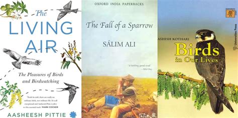 23 Bird Migrations By Devayani Khare Geosophy