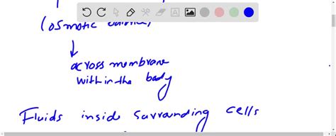 Solved Points Use The Context Of The Urinary System To Explain The