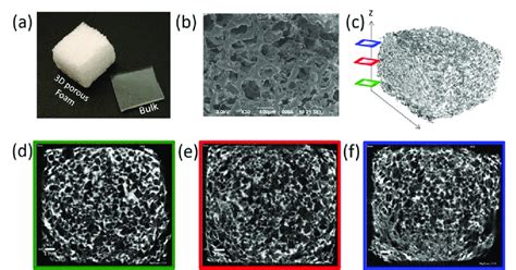 Morphological Characterization Of The 3d Porous Pdms Foam Obtained By Download Scientific