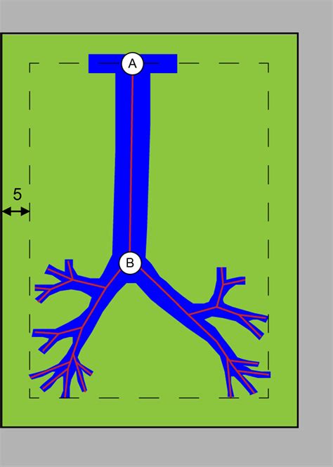 Centerlines Bounding Box And Offset Rectangle For Molds Dimensions