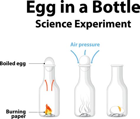 Science Experiment To Do At Home With Egg In A Bottle 7101485 Vector