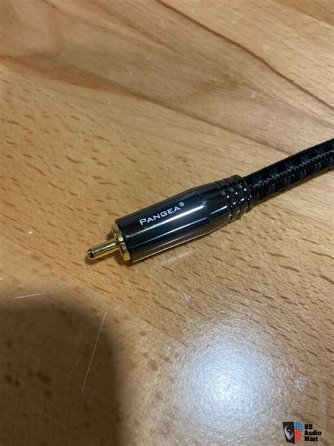 XLR RCA Digital RCA And USB Cables Photo US Audio Mart