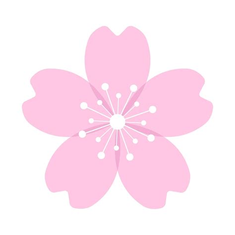 벚꽃 일러스트 벡터 Freepik에서 무료 고품질 벡터를 다운로드하세요 Freepik