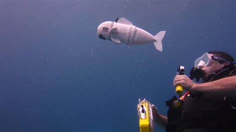 Robot Fish