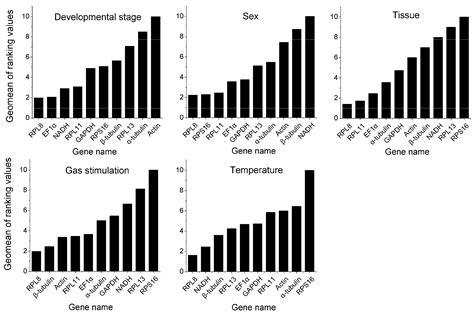 Identification And Validation Of Reference Genes For Expression