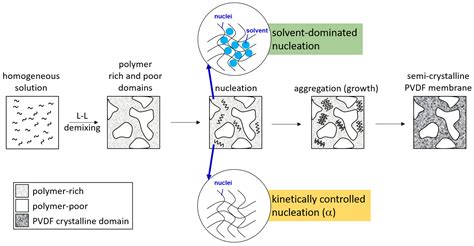 Formation Of Porous Structures And Crystalline Phases In Polyvinylidene Fluoride Membranes