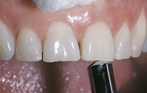 Theory Week Flashcards Quizlet Theory Week Flashcards Quizlet