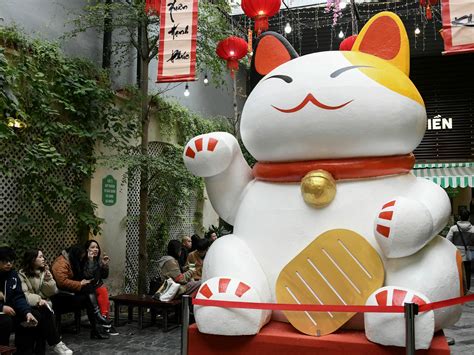 Why Is There A Cat In Vietnamese Zodiac