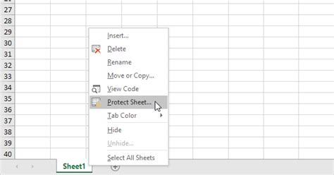 Protect A Sheet In Excel Easy Excel Tutorial