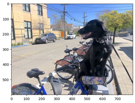Convert A Tensorflow Instance Segmentation Model To Openvino