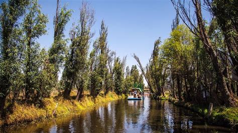 Chinampas Xochimilco