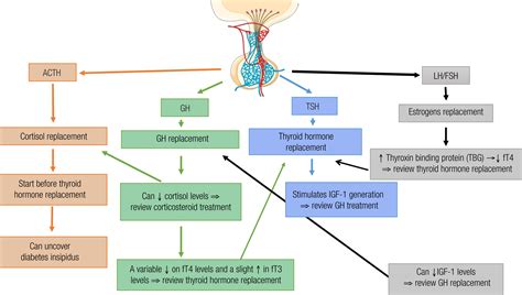 Brasil Management Of Hypopituitarism A Perspective From The
