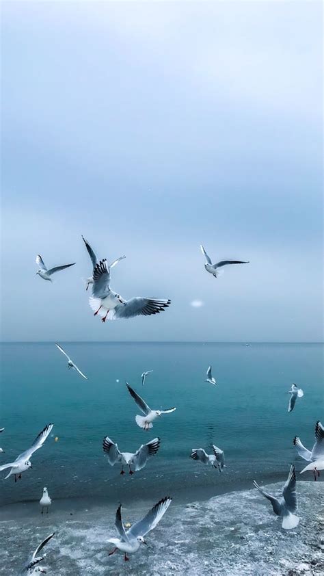 Чёрное море в 2022 г Пейзажи Абстрактное Обои для Iphone Artistic