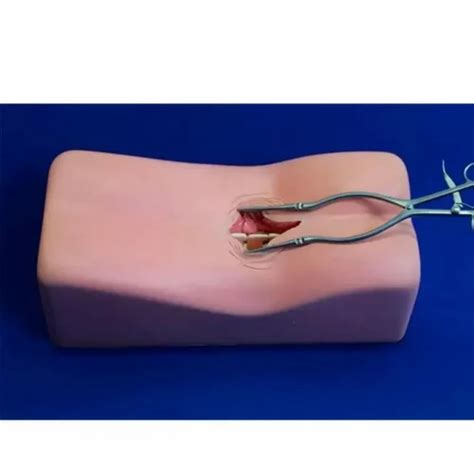 Pvc Fluoroscopy Spine Model At ₹ 55000piece In New Delhi Id 9008663873