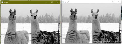 你不能不知道的六种 Python 图像库的图片读取方法总结 Csdn博客 你不能不知道的六种 Python 图像库的图片读取方法总结 Csdn博客