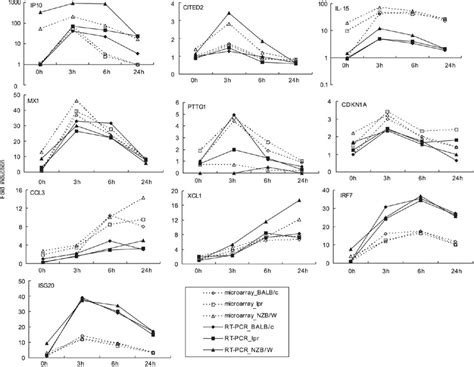 Comparison Of Gene Expression Detected On The Microarray And Using
