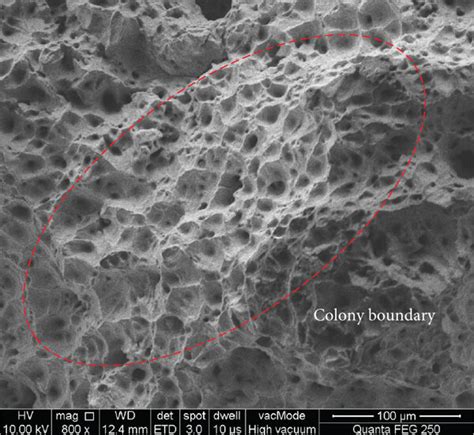 Microstructure Of Fracture Surface With Different Stresses A 1