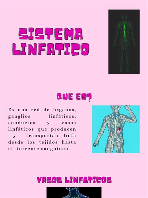 Sistema Linfatico Pdf