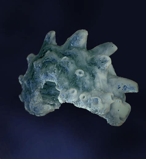 Fossil Teeth 439 Million Years Old Are Upending Long Standing Views On