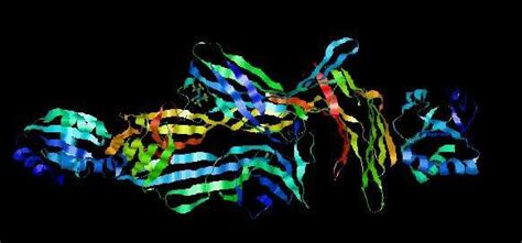 the figure as obtained from raswin server depicts the binding site of