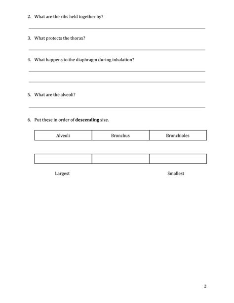 Solution Ventilation Worksheet And Answers Biology Studypool