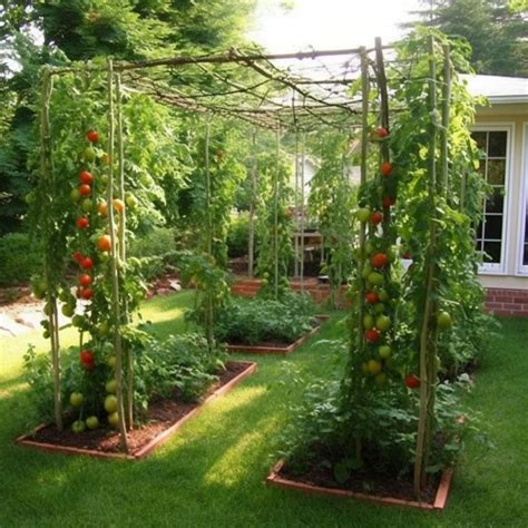 How To Build A Tomato Trellis Step By Step Guide Garden Layout Vegetable Garden Design
