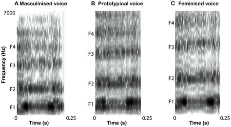 Spectrograms Of Vowel From Book Created From Girl Exemplar Download Scientific