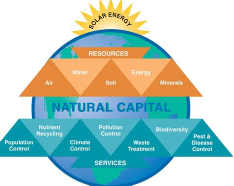 Environmental Problems Flashcards Quizlet