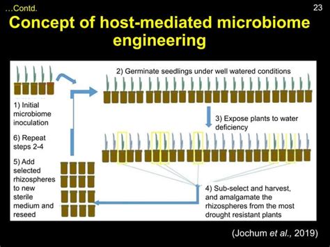 Ajayasree T S Seminar Ppt Microbiome Engineering Pptx