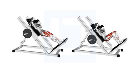 Sit Squat Guide Benefits And Form