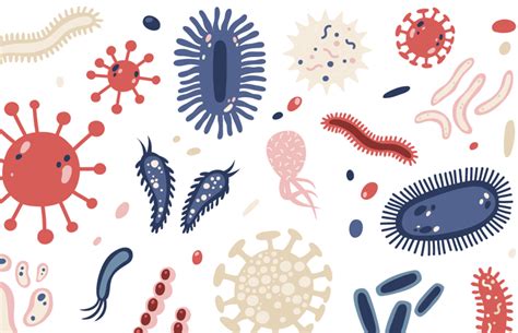 Cosmosid Metagenomics For Rapid Detection Of Enteric Pathogens And Characterization Of