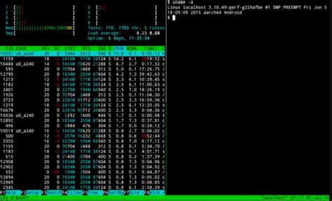 What Is The Significance Of Terminal Emulator App Predator Soft