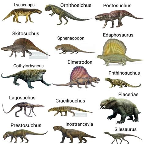 Synapsids And Reptile Animais Extintos Arte Com Tema De Dinossauro