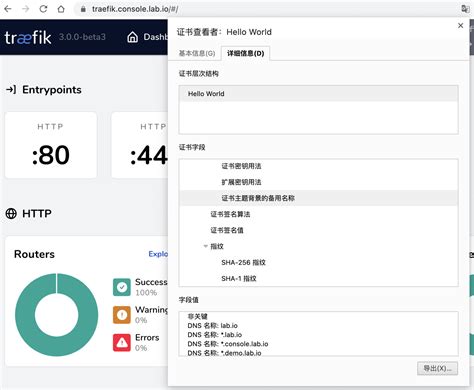 Traefik V30 Docker 全面使用指南：基础篇traefik Middleware开发 Csdn博客
