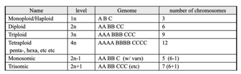Aneuploids And Polyploids Exam 3 Flashcards Quizlet