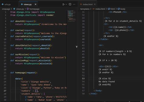 versatility of django framework
