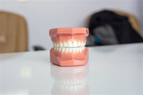 Plastic Tooth Market Poised For Remarkable Growth Through 2035 Newstrail