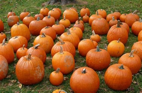 At Codeng We Use App Lab To Teach Our Young Coders To Build Simple Web Apps