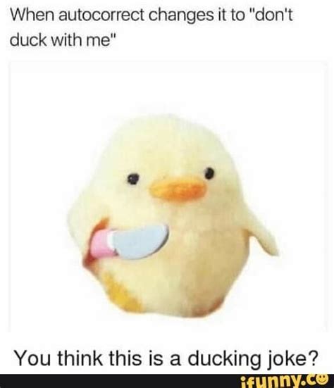 38 💛 Ducky 🦆 Ideas Ducky Duck Memes Lucky Ducky