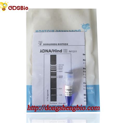 Dna Marker Ladder Lambda Dna Hind Iii For Electrophoresis M1201 M1202