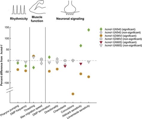 Human Calmodulin Mutations Cause Arrhythmia And Affect Neuronal Function In C Elegans Pmc