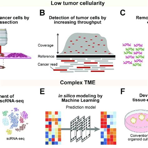 Advanced Genomic Analysis Strategies For Pdac Model Systems Low Tumor Download Scientific