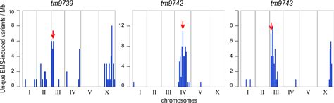 Cell Press STAR Protocols