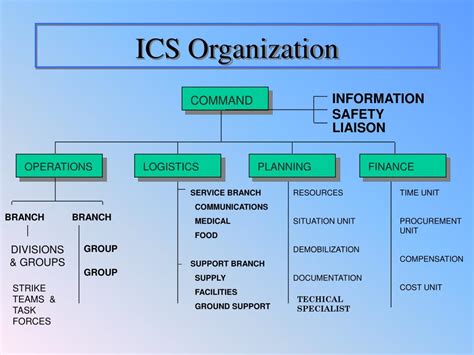 Ics Org Chart Template