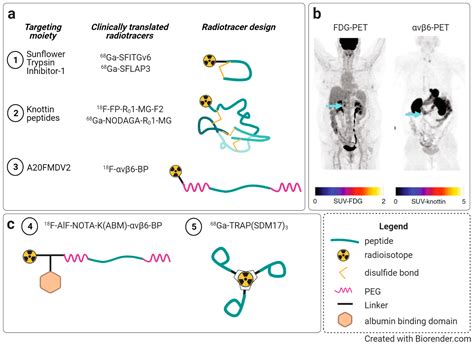 Rgd Binding Integrins Revisited How Recently Discovered Functions And Novel Synthetic Ligands
