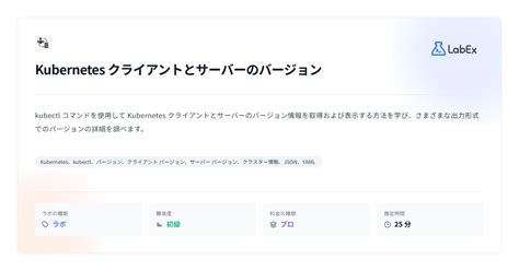 kubernetes クライアントとサーバーのバージョン labex